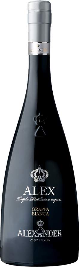 Grappa Alexander Bottega 0,7l | E-shop Global Wines & Spirits
