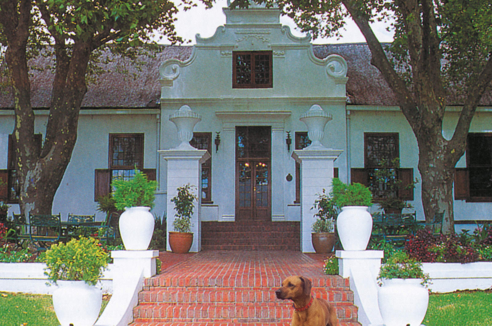 Nederburg Chardonnay | E-shop Global Wines & Spirits