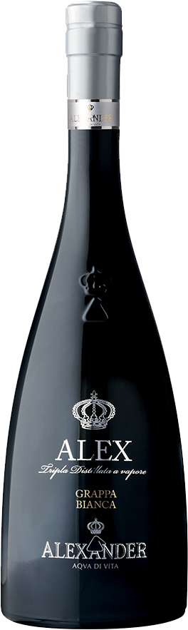 Grappa Alexander Bottega 0,7l | E-shop Global Wines & Spirits