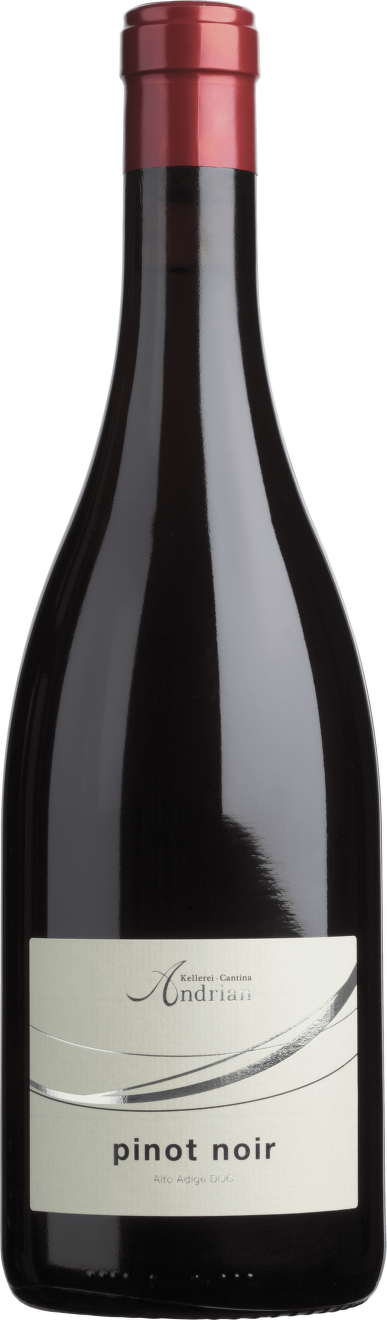 Pinot Noir, Kellerei Andrian | E-shop Global Wines & Spirits
